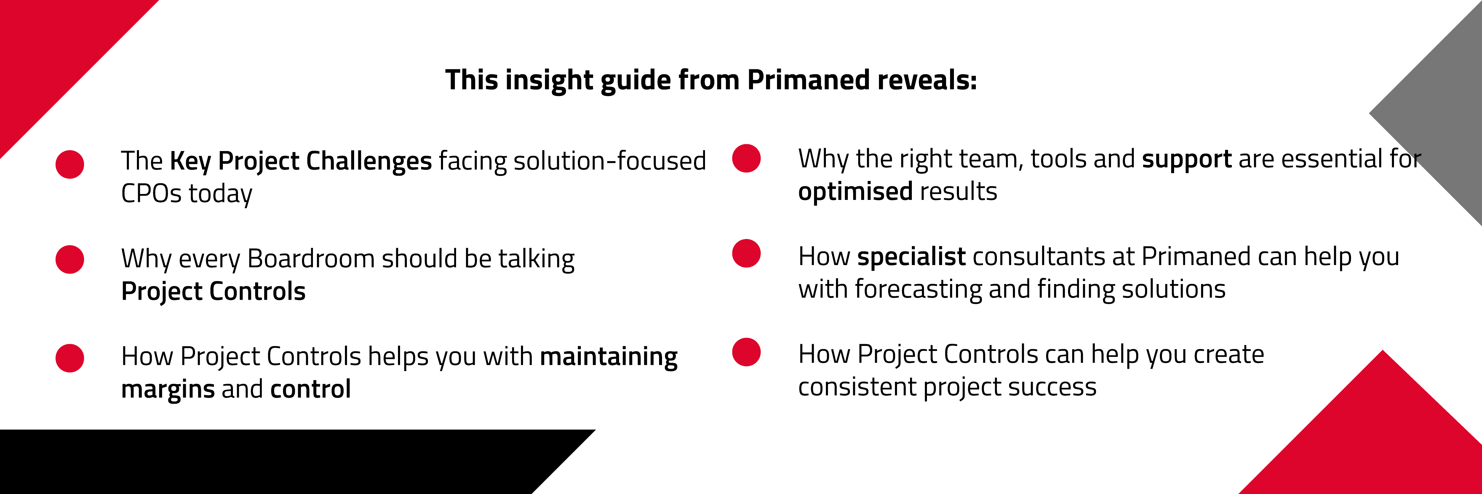 Download the CPO’s Guide to Project Controls | Primaned